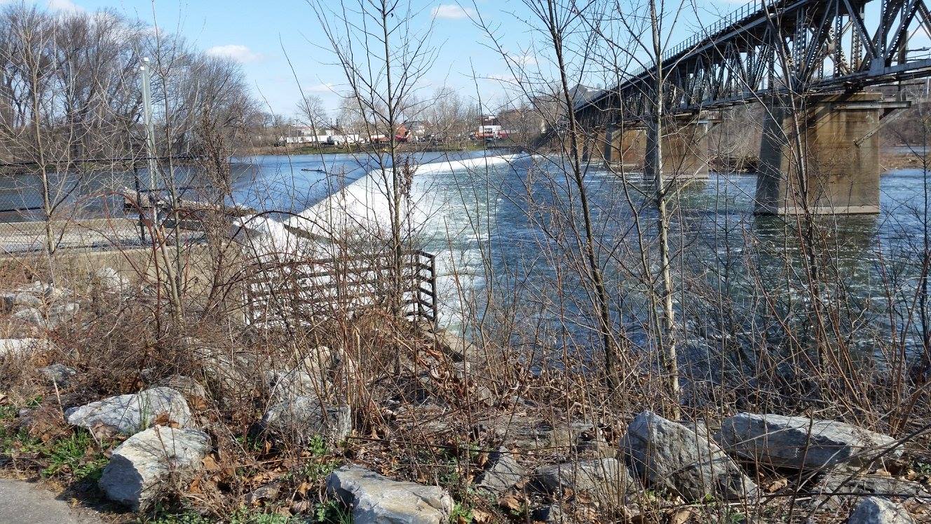 Growing Bridgeport Together Bridgeport River Market